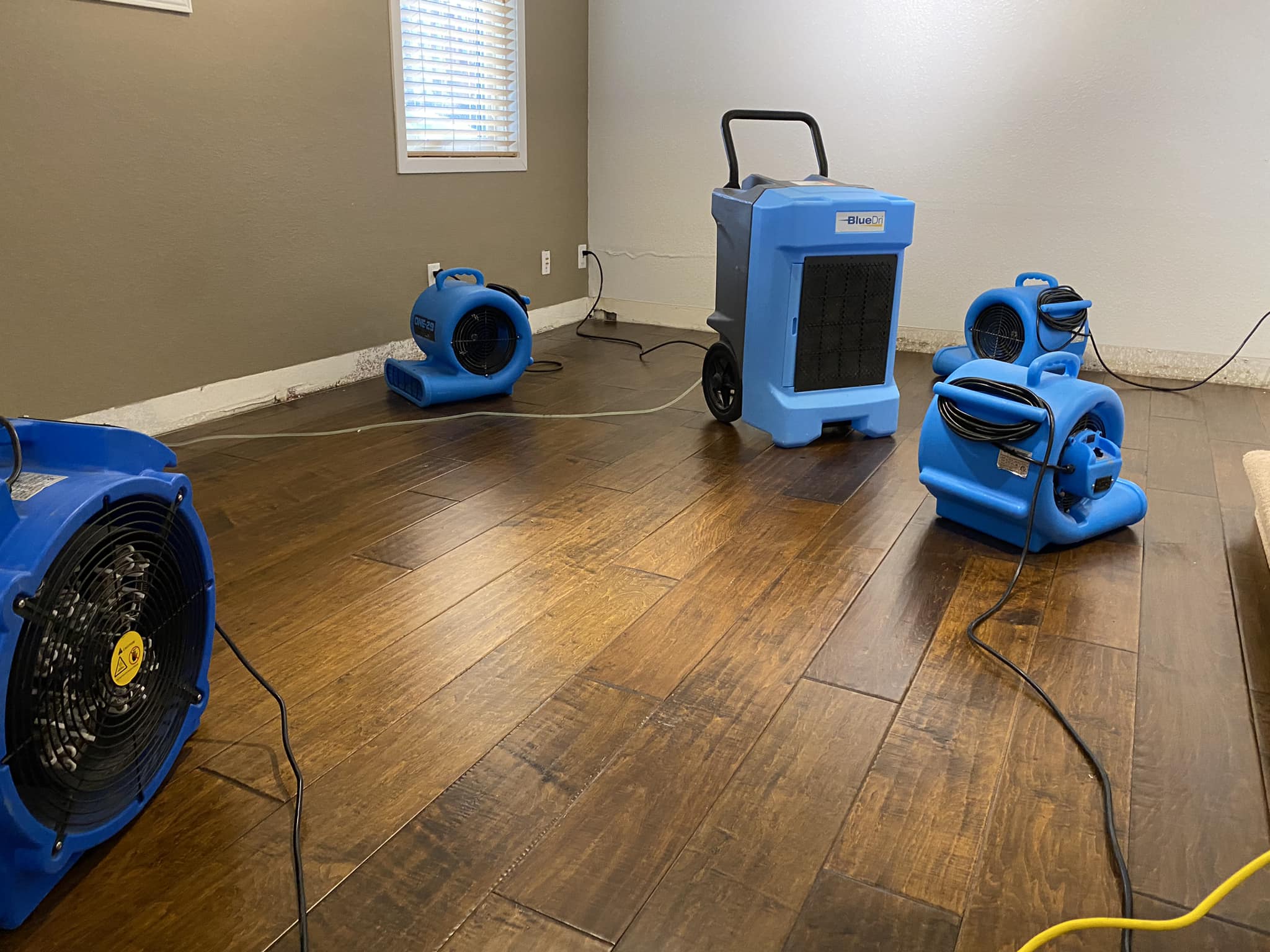 What To Do Immediately After Water Damage in Your Home - Best Option ...